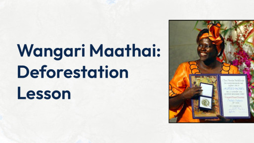 Deforestation Lesson Plan