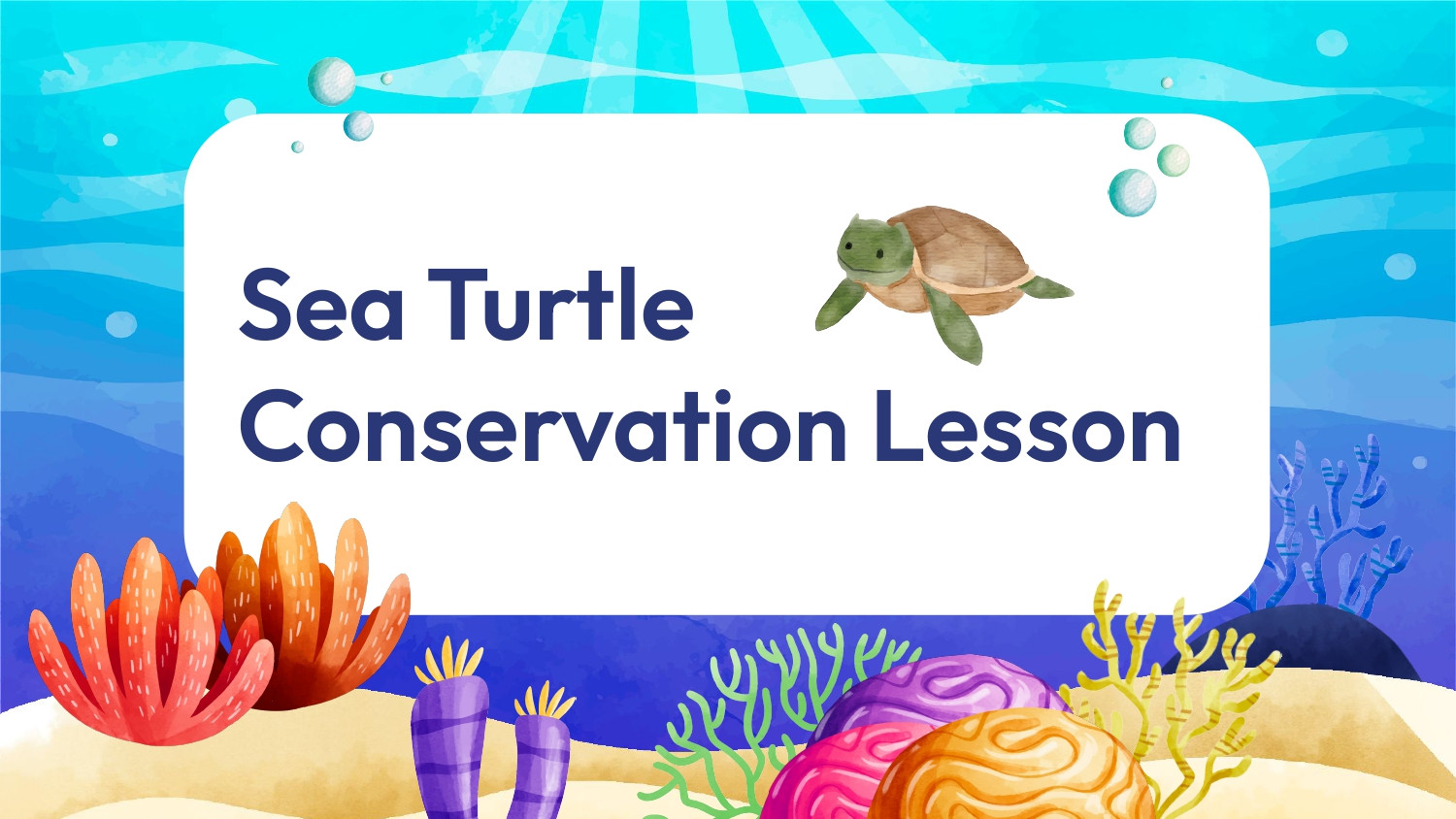 Sea Turtle Lesson Plans for Kindergarten