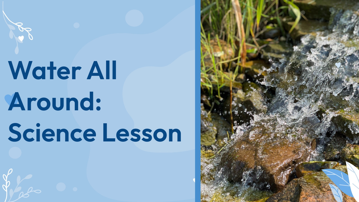 Water All Around Us (Water and Plant Survival #1)