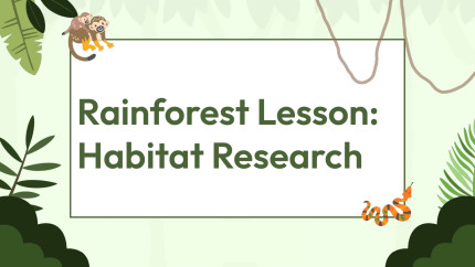 Rainforest Habitat (All About the Rainforest #3)